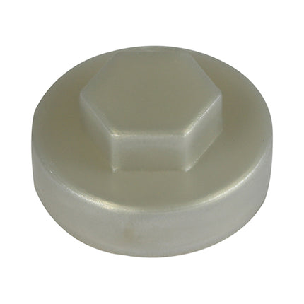 TIMCO Hex Head Cover Caps Metallic Silver Matt Plastic - 16S7500CAP ...